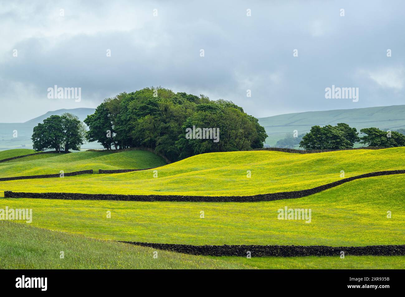 Farms in Yorkshire Dales National Park, North Yorkshire, England Stock ...