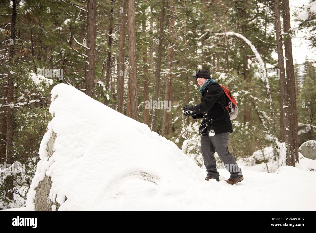 Man packing a snow ball in his hands in the woods Stock Photo - Alamy