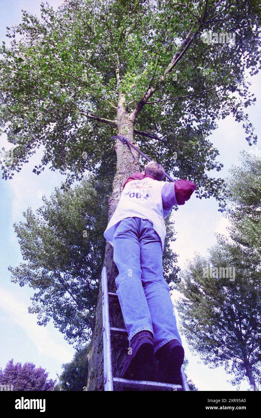 Reinalda park hi-res stock photography and images - Alamy