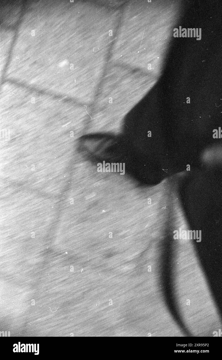 Dutch feet Black and White Stock Photos & Images - Alamy