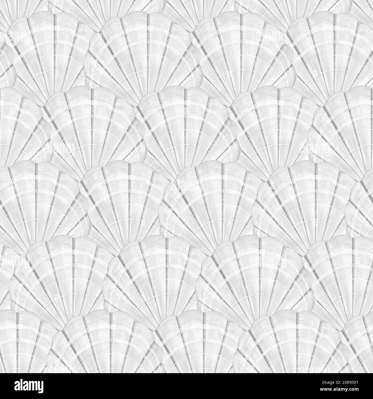 Sea Shells Scallops. Seamless Pattern on white background. Watercolor ...