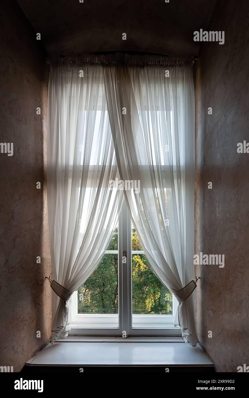 Window with a view to the garden covered with retro translucent ...