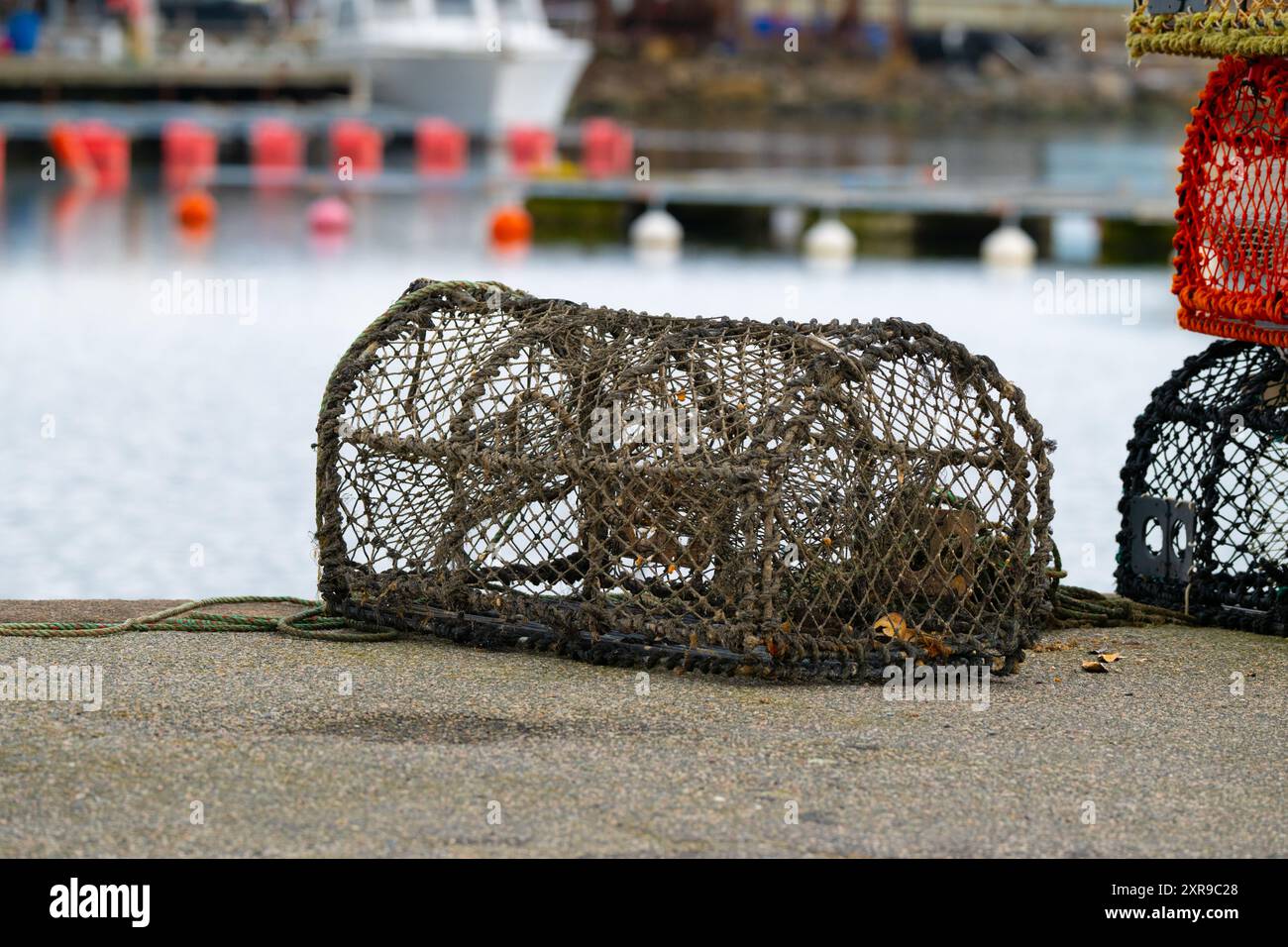 Lobster crates stored on land Stock Photo - Alamy