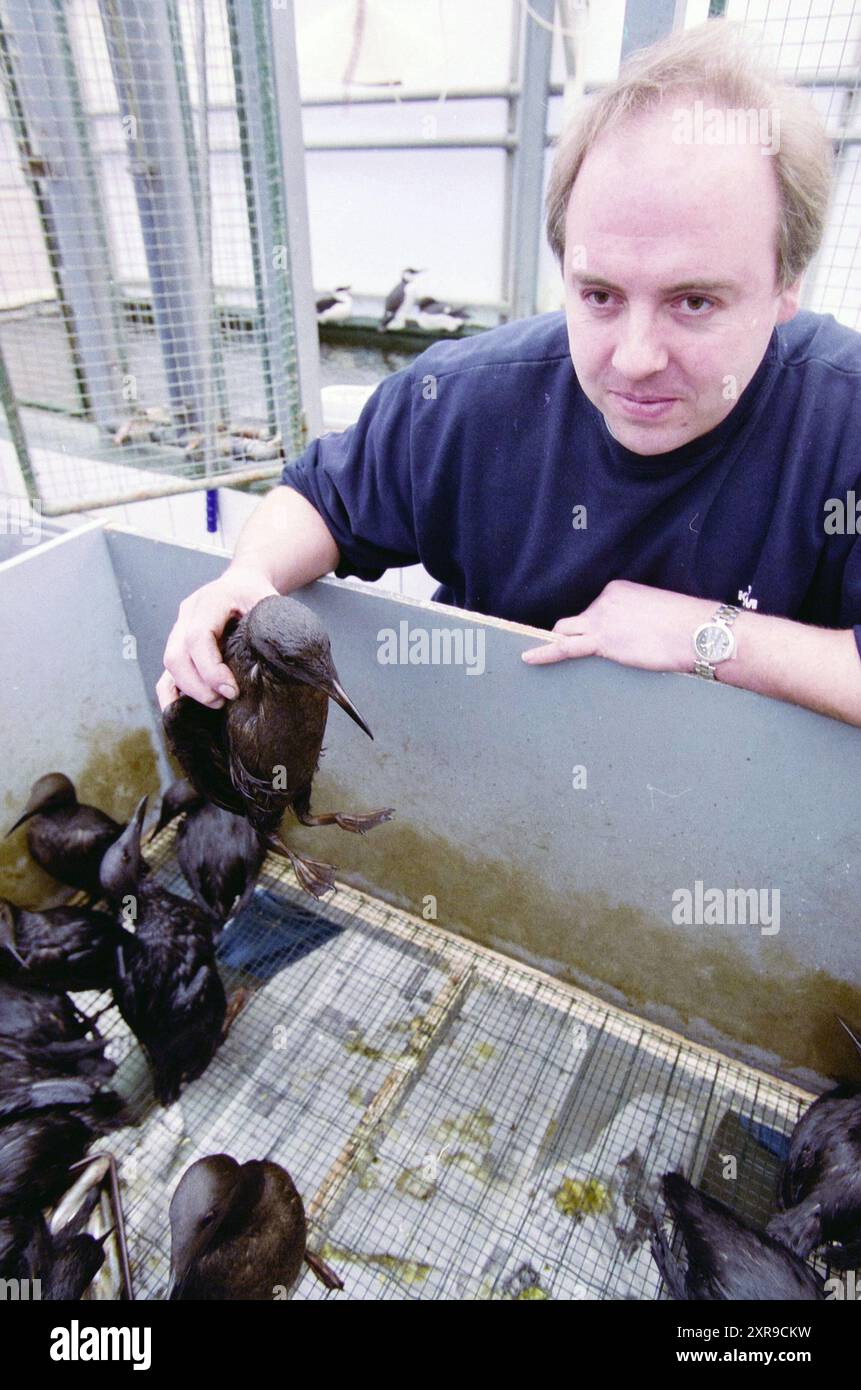 Oil bird hospital hi-res stock photography and images - Alamy