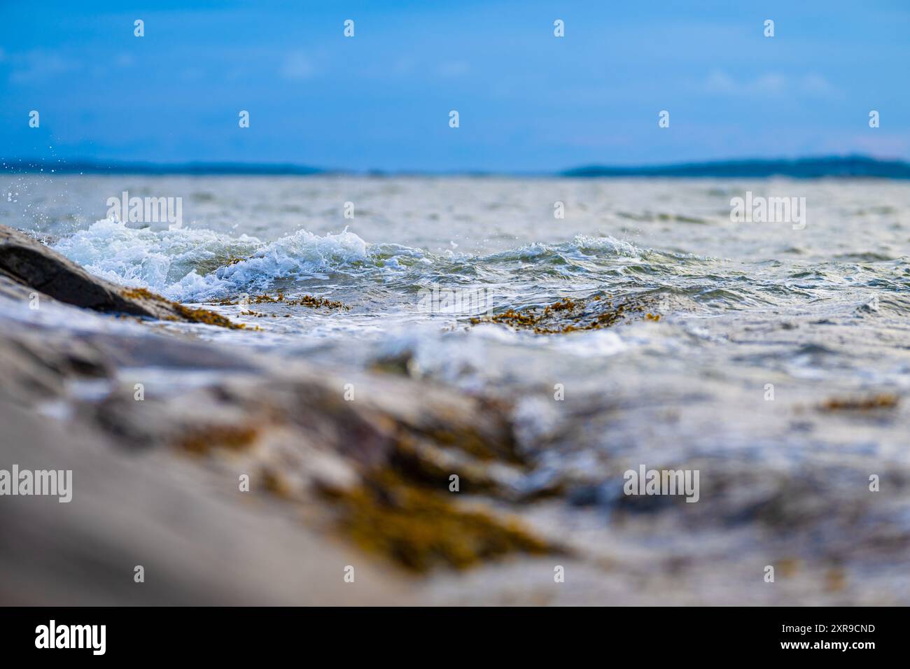 Waves moving the seaweed by a seaside cliff Stock Photo - Alamy