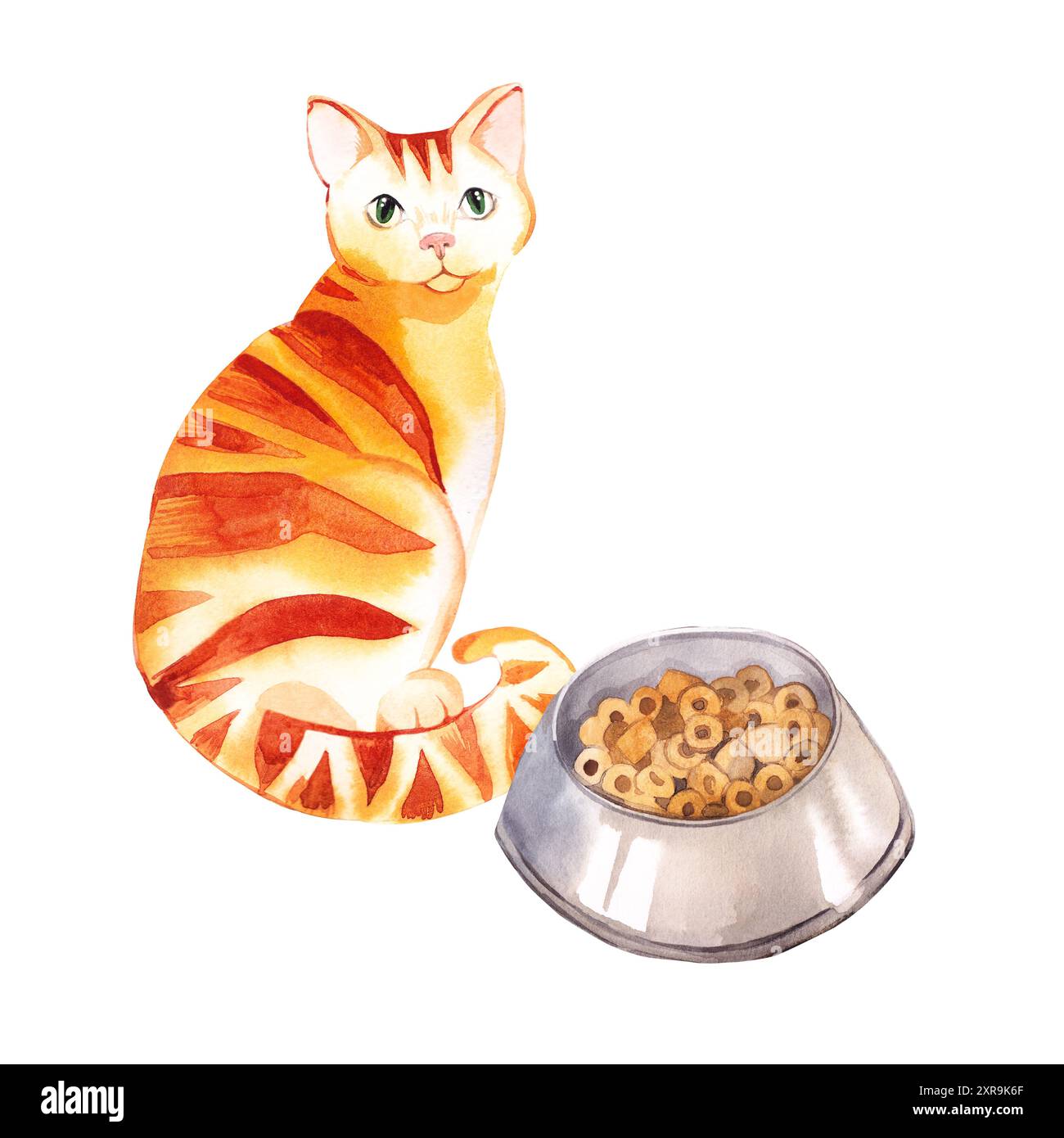 Red tabby cat with metal bowl, pet food. Watercolor illustration. All ...