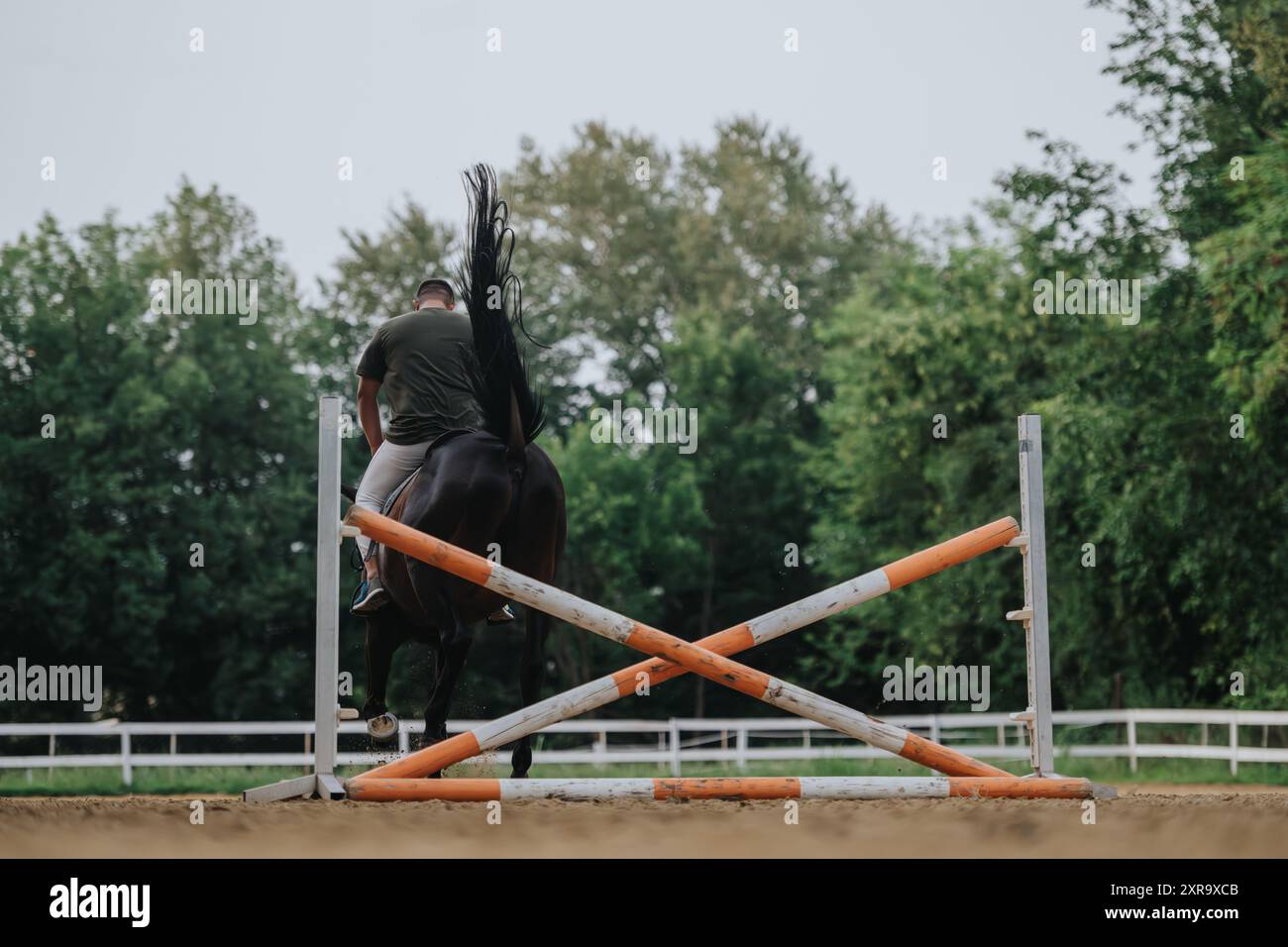Equestrian jumping over obstacles during a training session in an ...