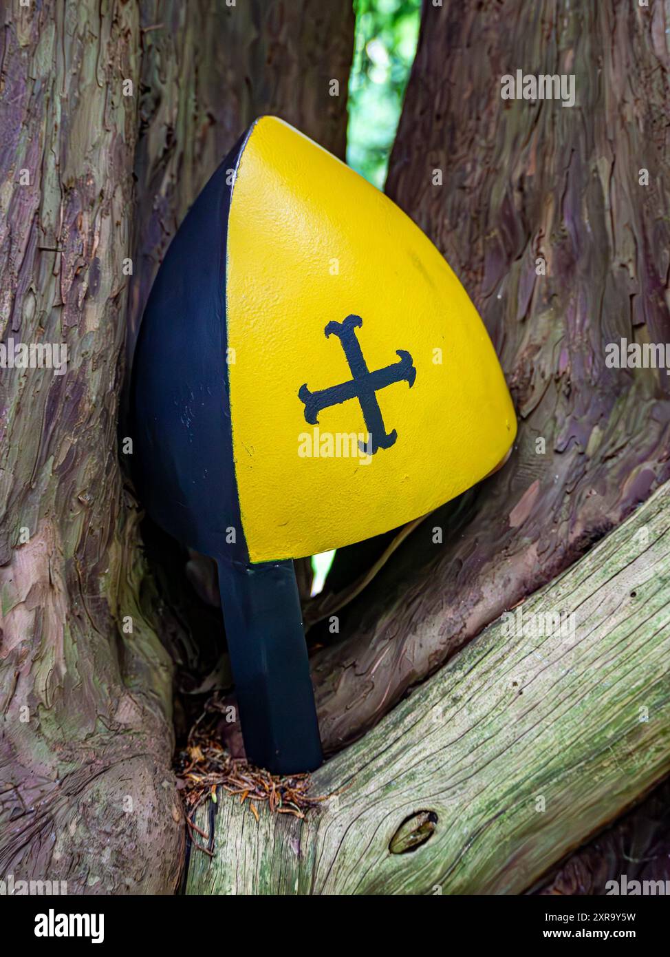 Medieveal Helmet in an English Oak tree bearing the colours of Lord ...