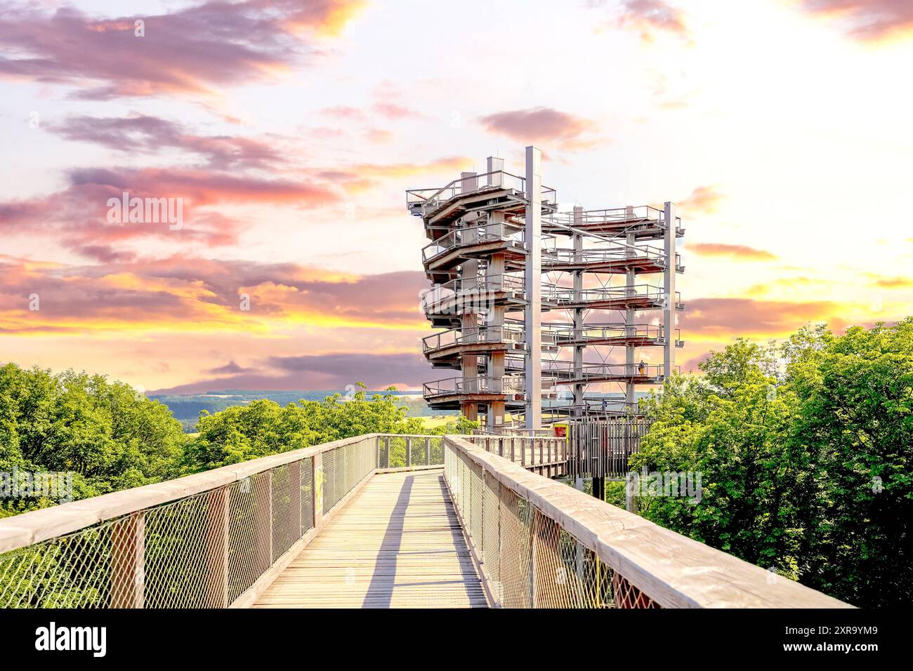 Landscape saarland treetop path hi-res stock photography and images - Alamy