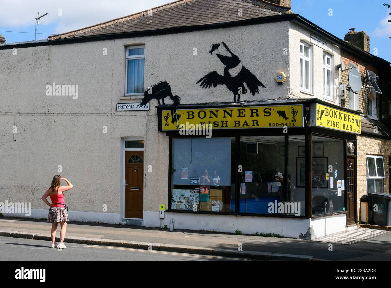 Walthamstow, London, UK. 9th Aug 2024. 'Banksy' artwork of pelicans ...