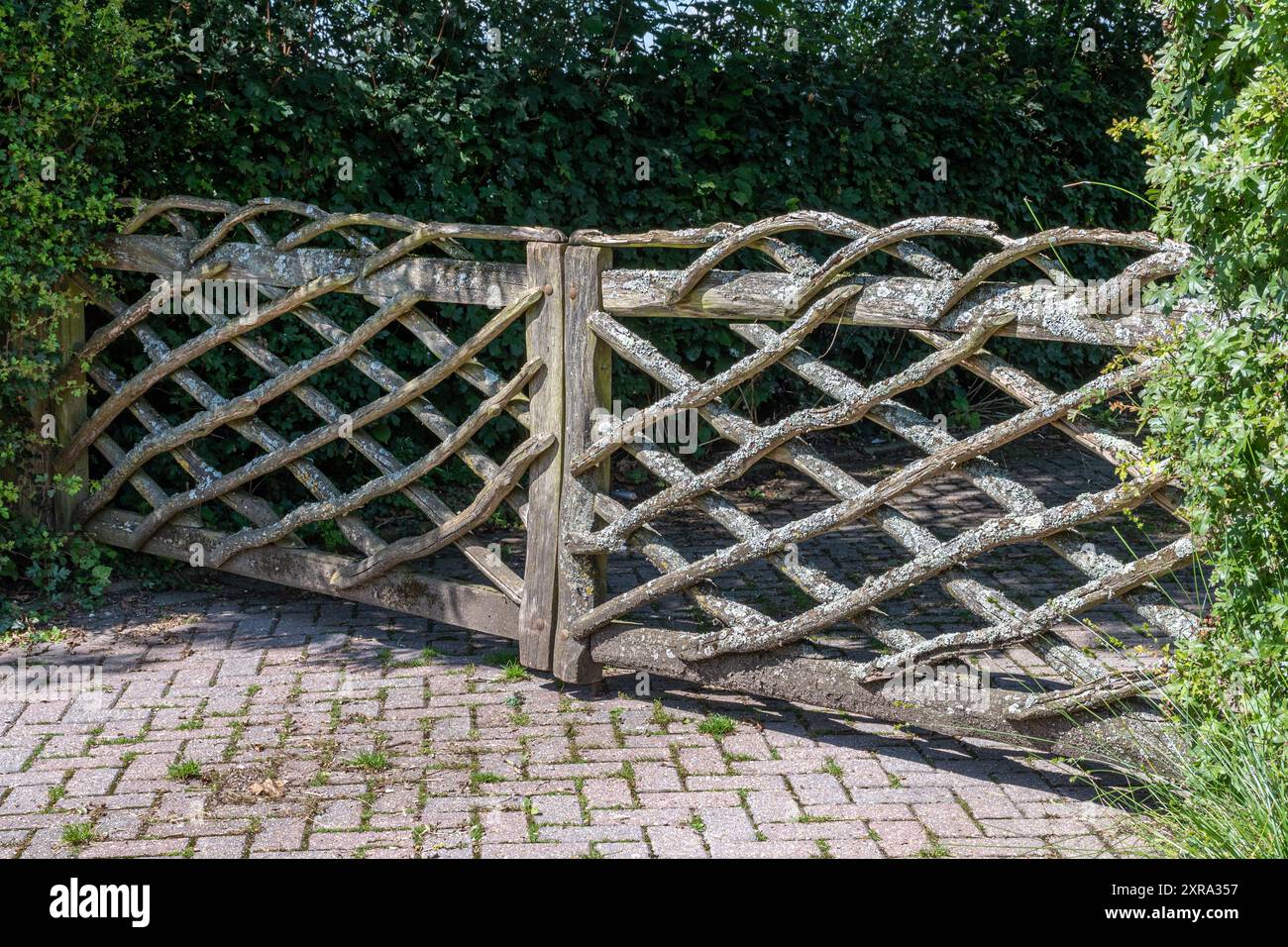 Rustic lichen hi-res stock photography and images - Alamy