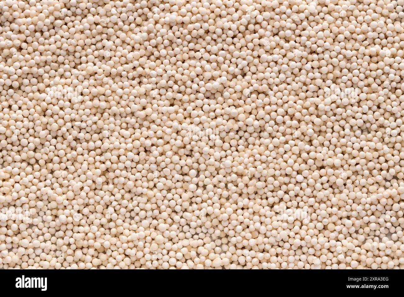 Organic tapioca pearls, cassava starch from the yuca root - Manihot ...