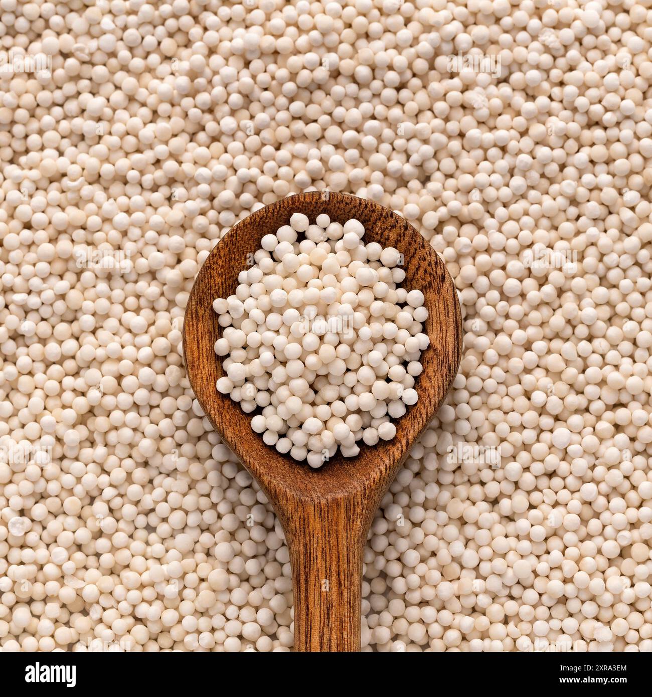 Sagu starch balls - Tapioca pearls on the spoon. Manihot esculenta ...