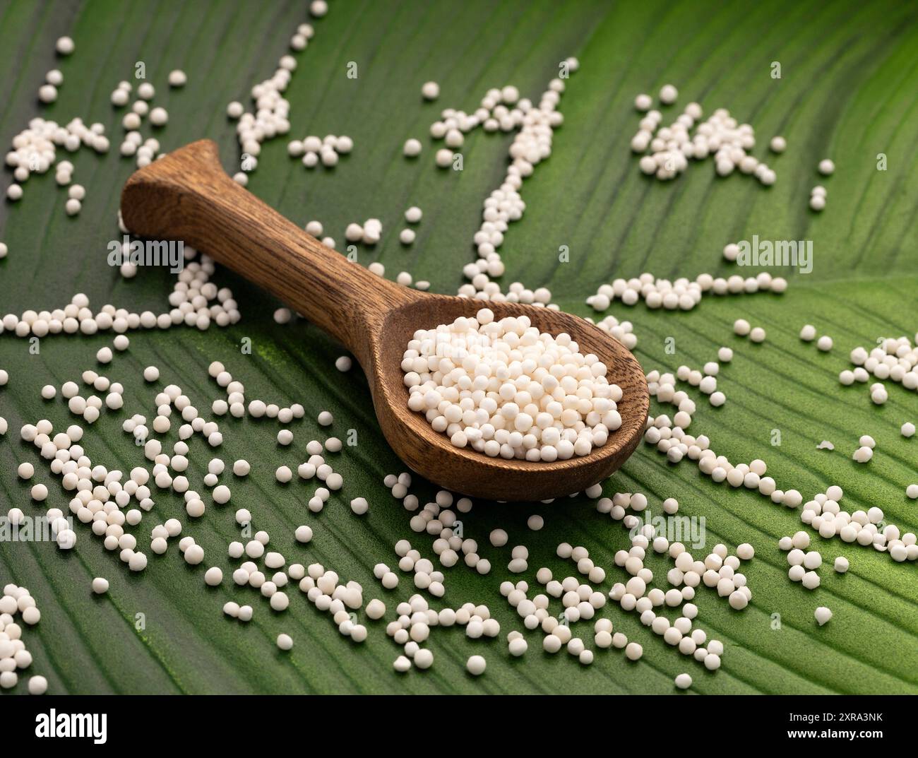 Starch tapioca pearls on the spoon - Manihot esculenta Stock Photo - Alamy