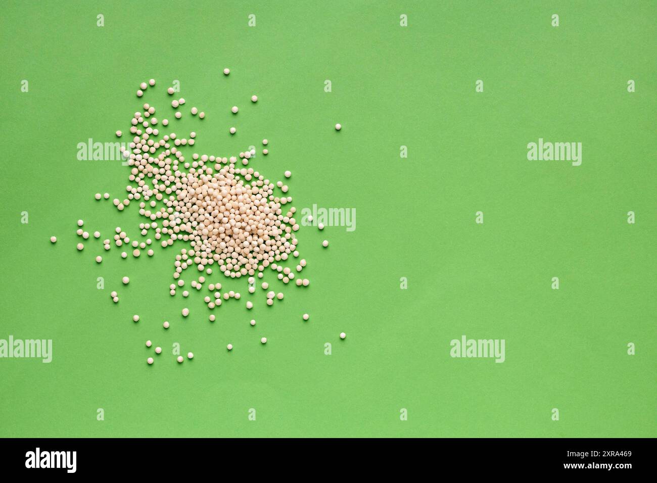 Organic tapioca pearls, cassava starch from the yuca root - Manihot ...