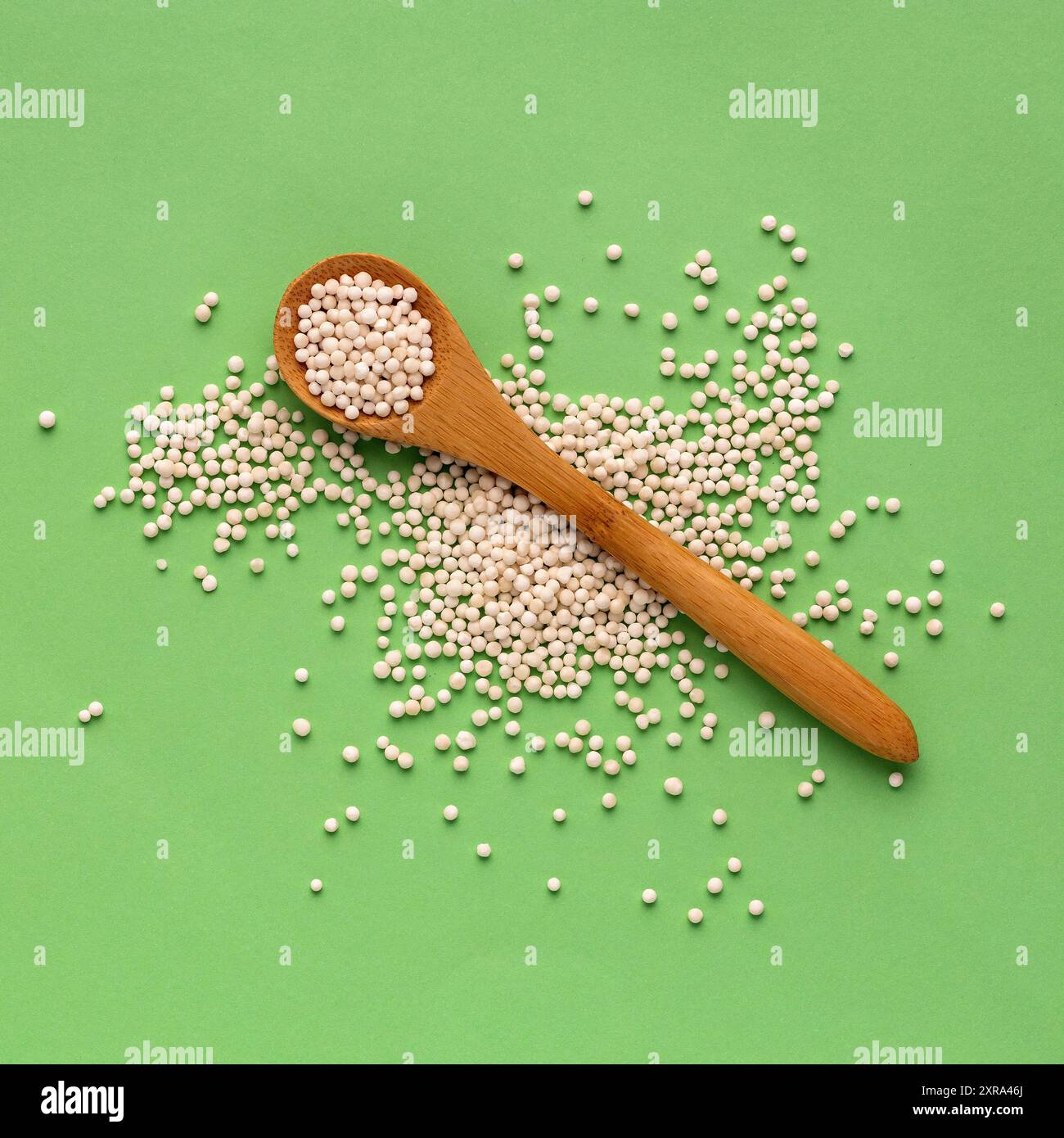 Sagu starch balls - Tapioca pearls on the spoon. Manihot esculenta ...