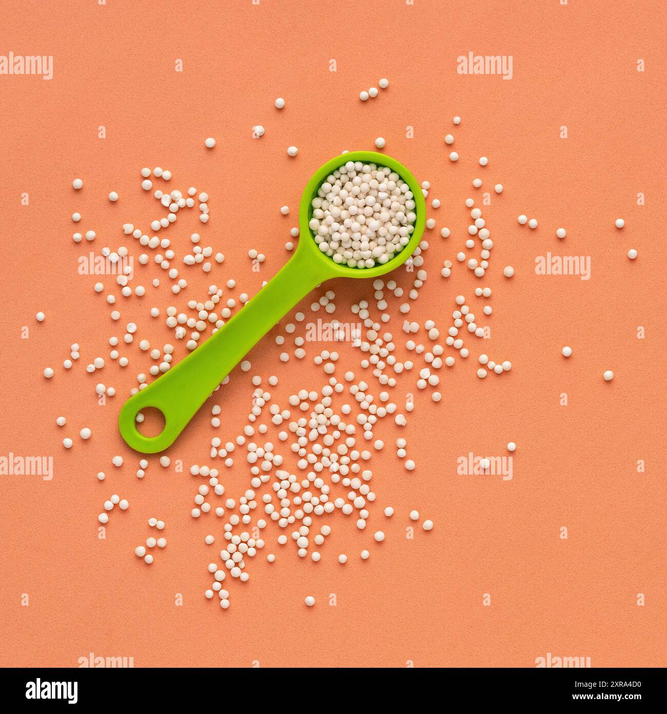 Sagu starch balls - Tapioca pearls on the spoon. Manihot esculenta ...