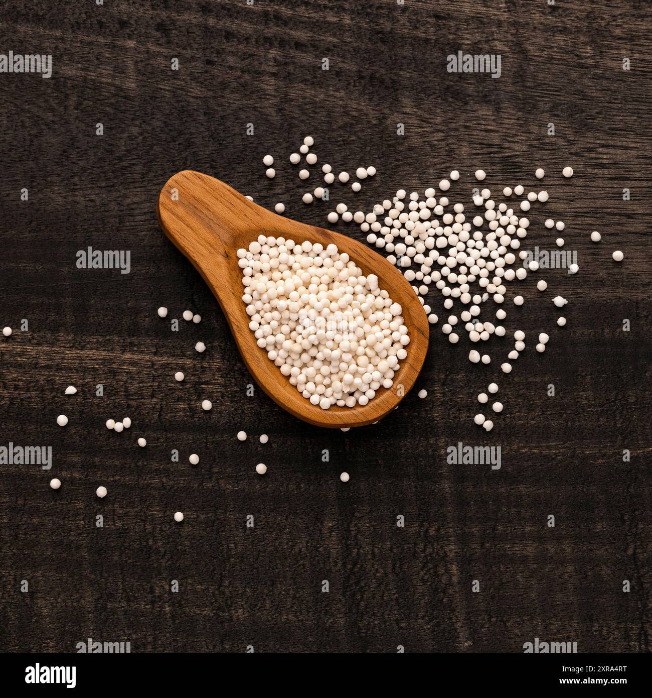 Sagu starch balls - Tapioca pearls on the spoon. Manihot esculenta ...