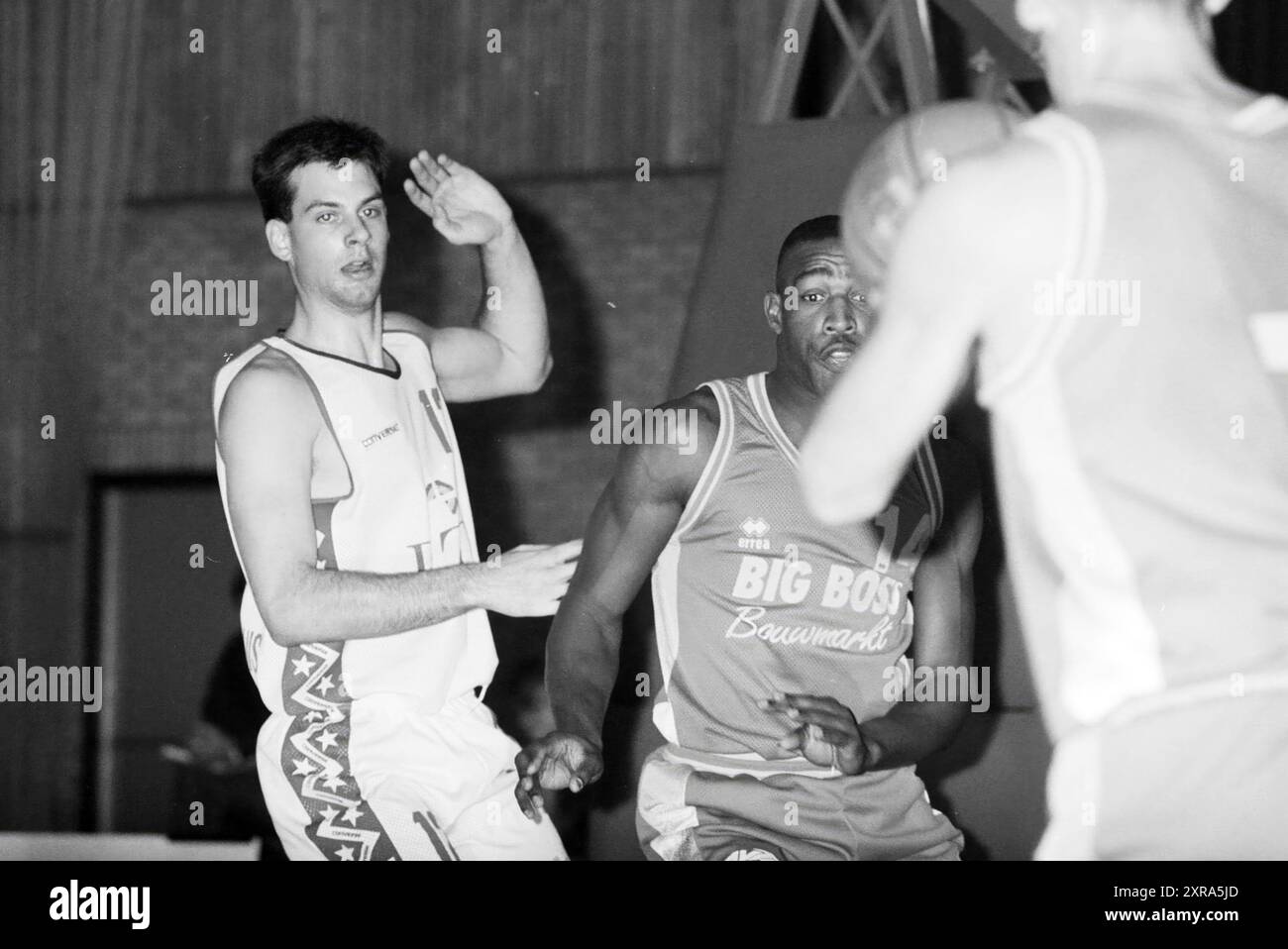 Akrides celeritas hi-res stock photography and images - Alamy