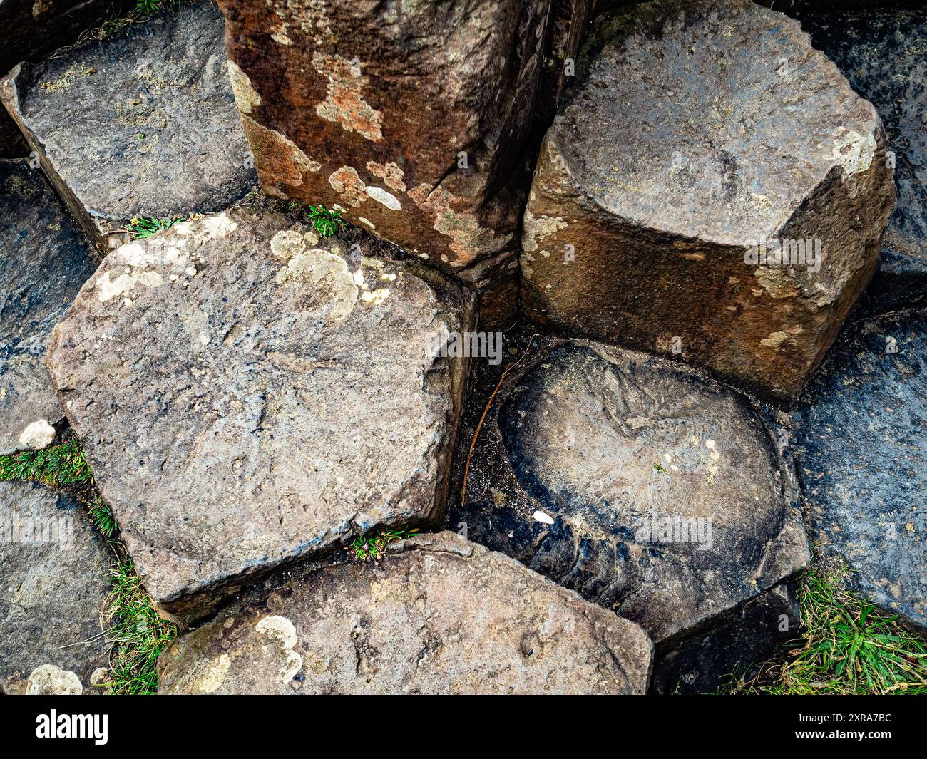 A closer view of the hexagonal-shaped stepping stones. The Giant’s ...
