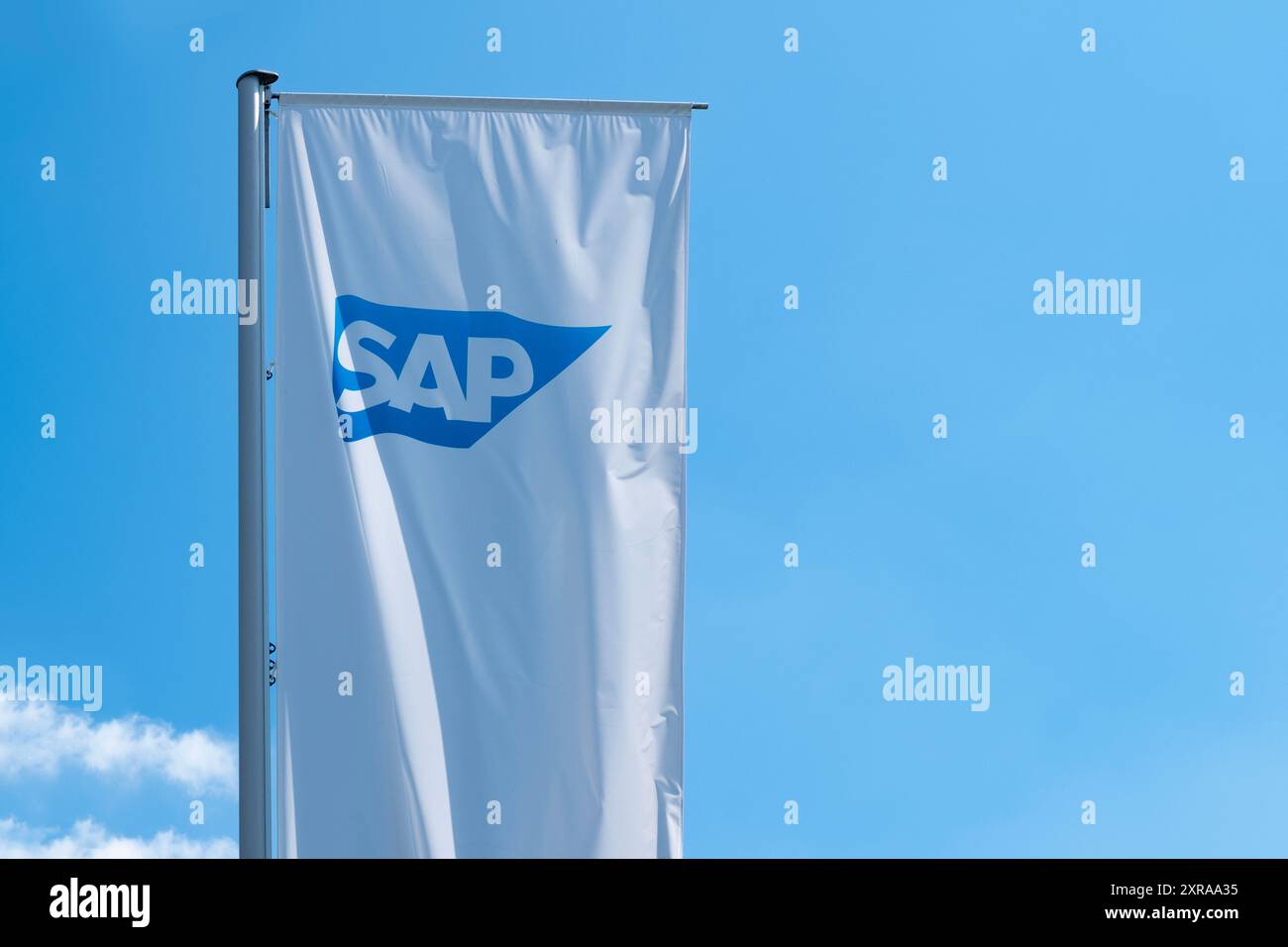 flag software and technology SAP SE company, German International ...