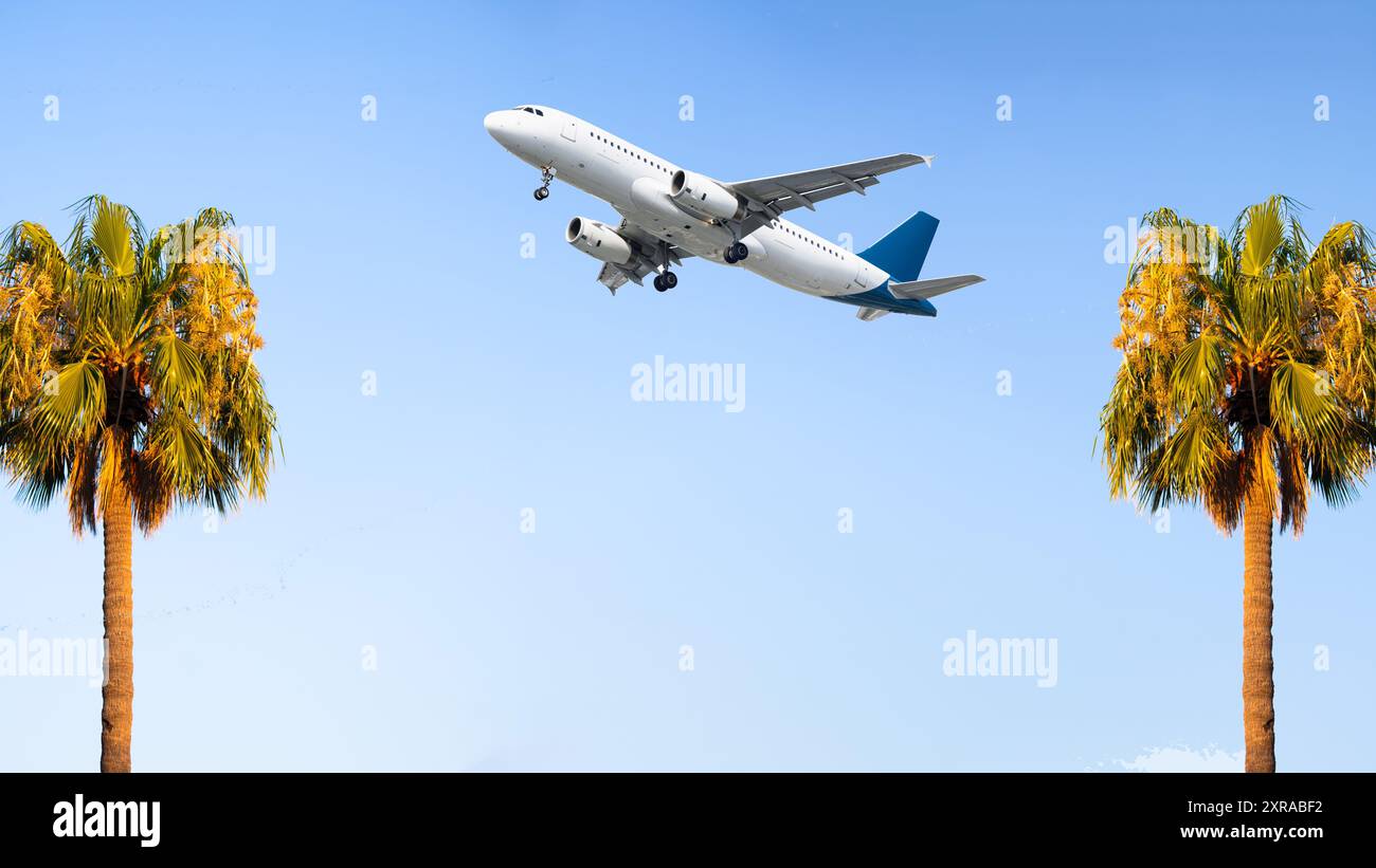 Aviation idea concept. Palm tree and soaring passenger plane on blue ...
