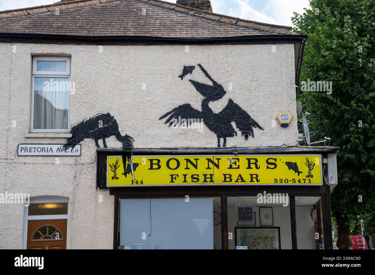 BANKSY © Jeff Moore - A new Banksy pelican artwork appears on ...
