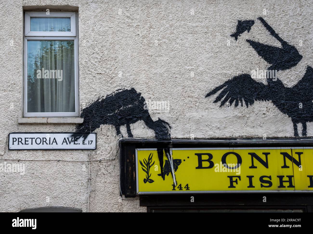 BANKSY © Jeff Moore - A new Banksy pelican artwork appears on ...