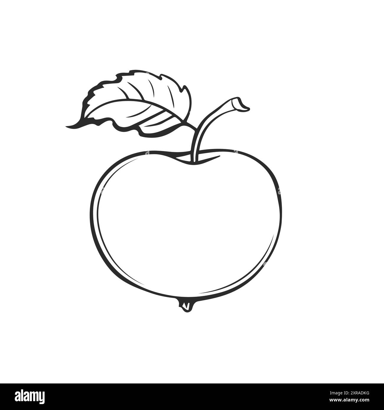 Simple linear black ink hand drawn apple. Sketch vector illustration ...