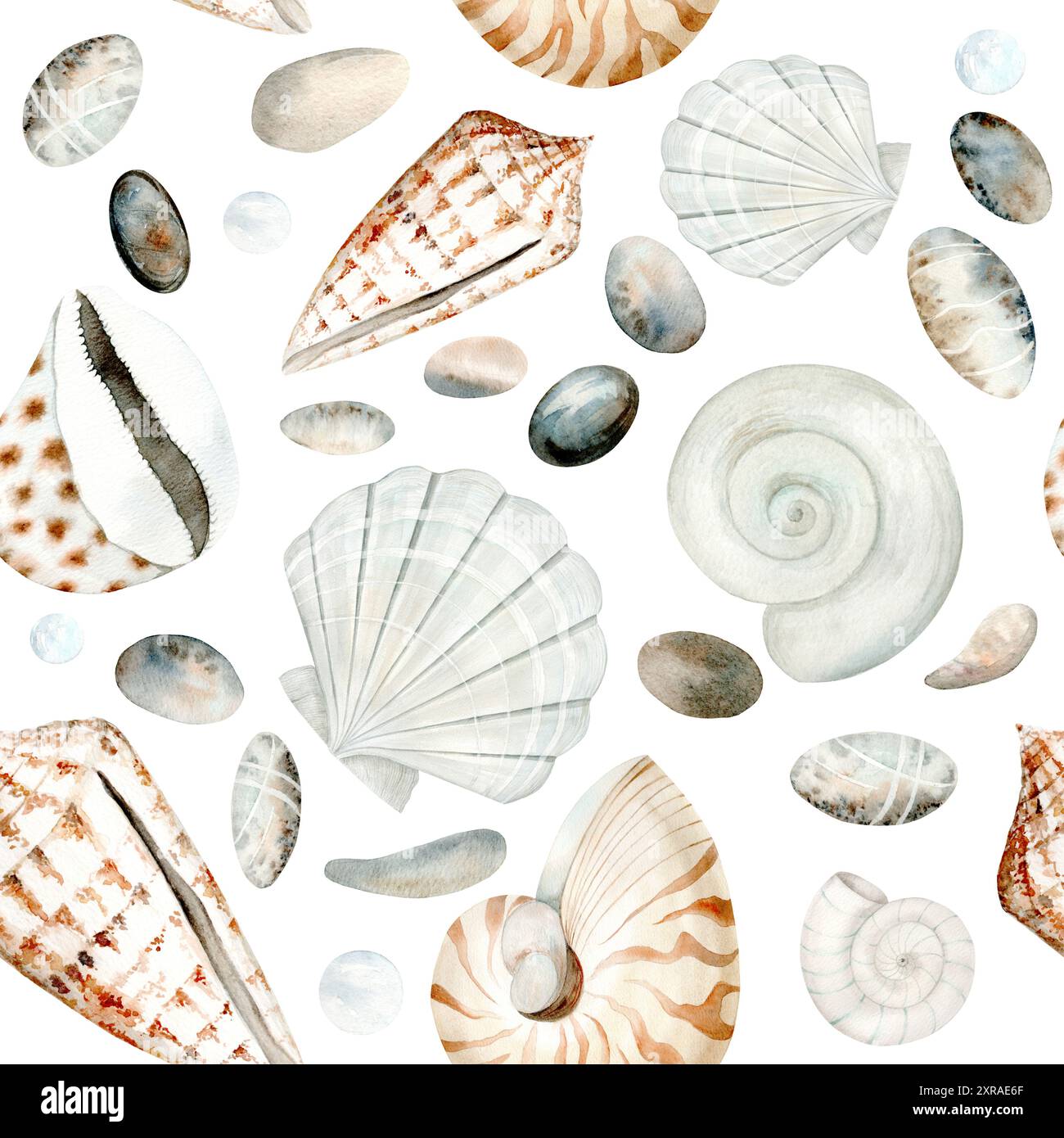 Sea Shells and Pebbles. Seamless Pattern on white background ...
