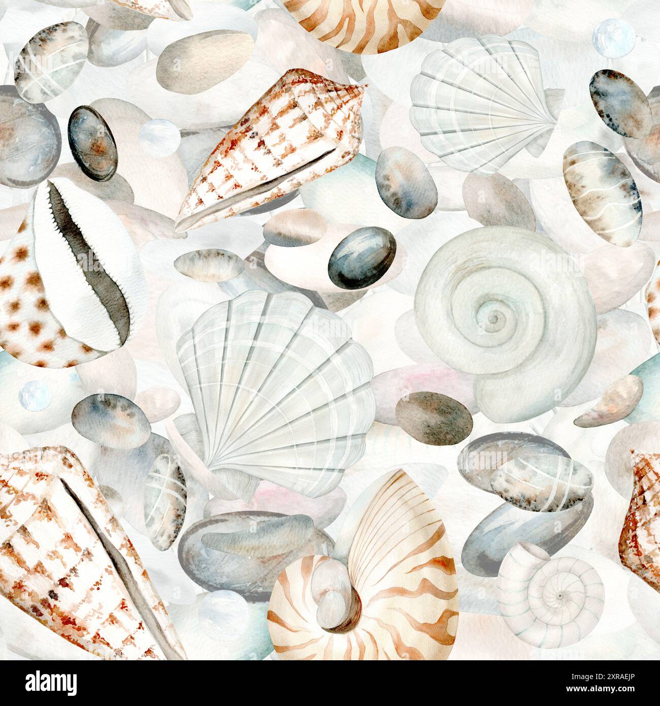 Sea Shells and Pebbles. Seamless Pattern on white background ...