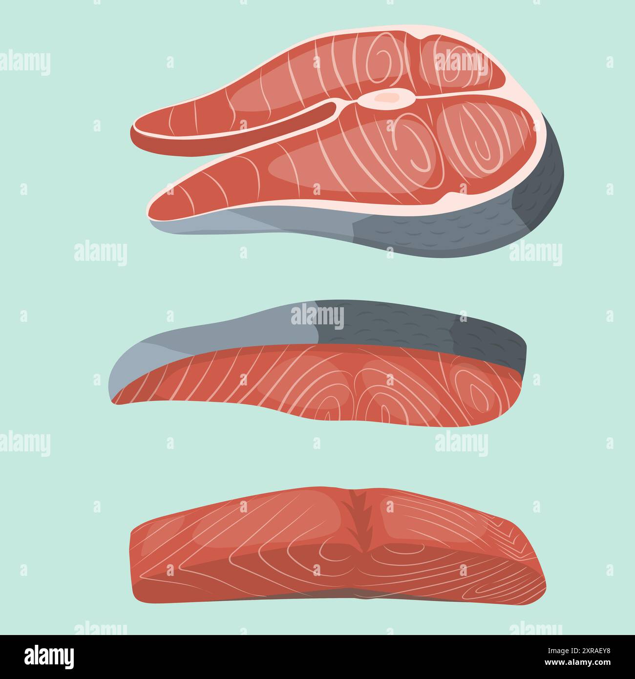 Raw salmon fillet in Stock Vector Images - Alamy