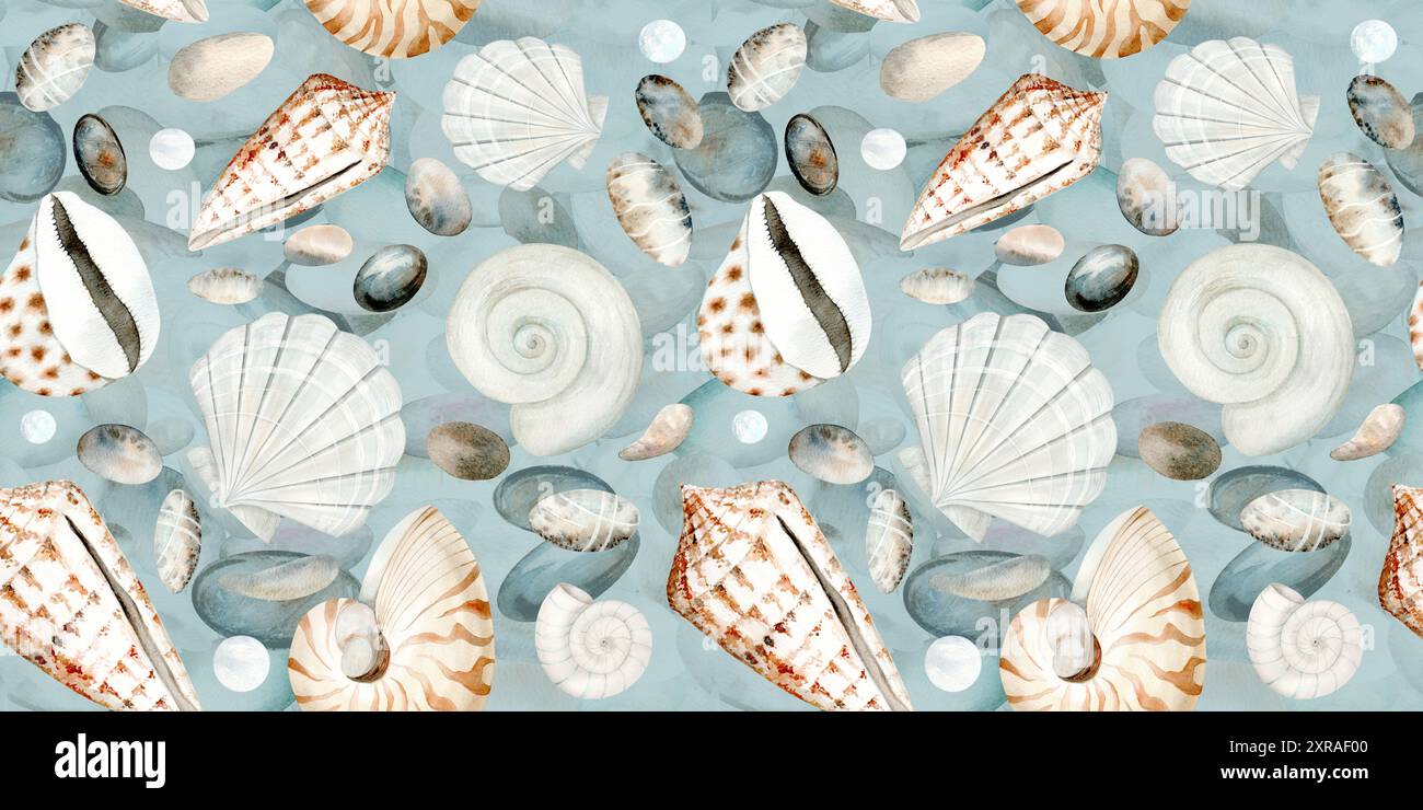 Sea Shells and Pebbles. Seamless Pattern on white background ...