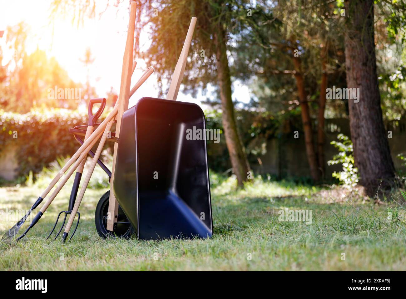 Gardening tools and wheelbarrow in natural forest background. Sunlight ...