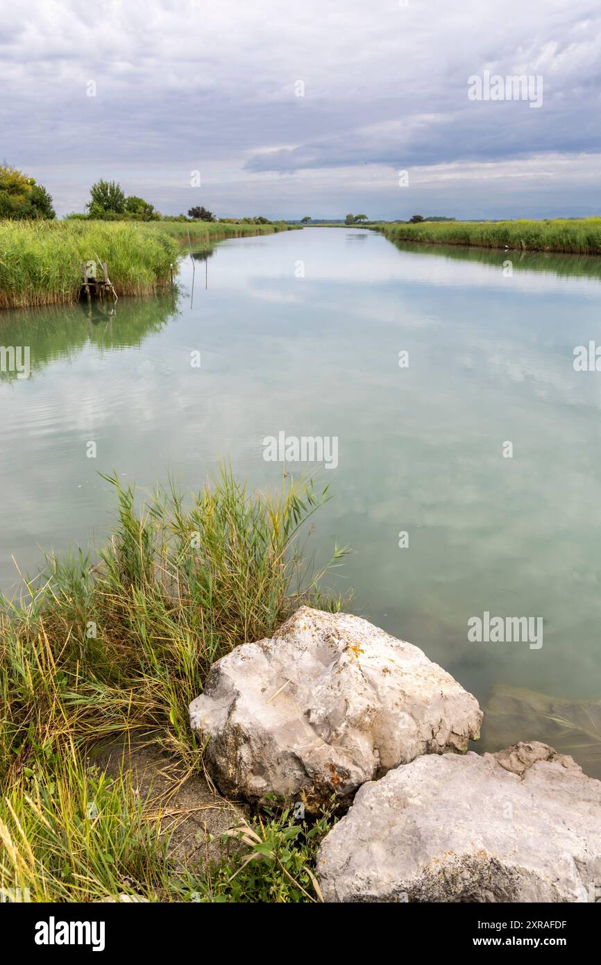 regional nature reserve of the mouth of the Isonzo river ,Friuli ...