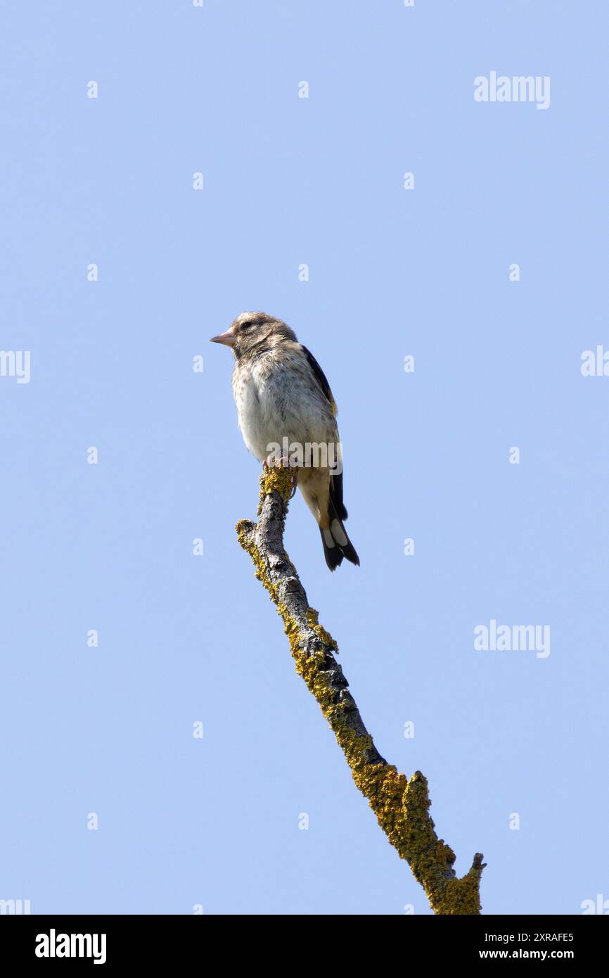 Turvey reserve hi-res stock photography and images - Alamy