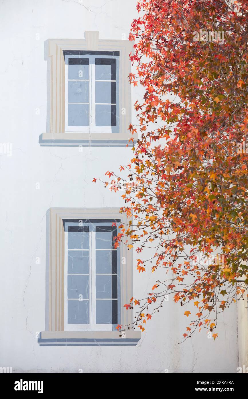 Mural art windows painted over a facade of the Atucha Palace, with a ...