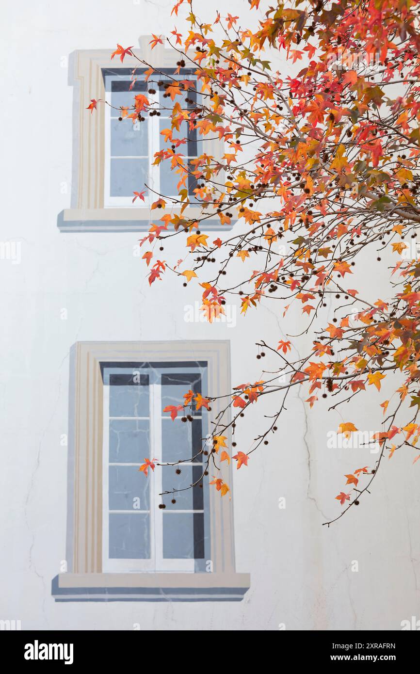 Mural art windows painted over a facade of the Atucha Palace, with a ...