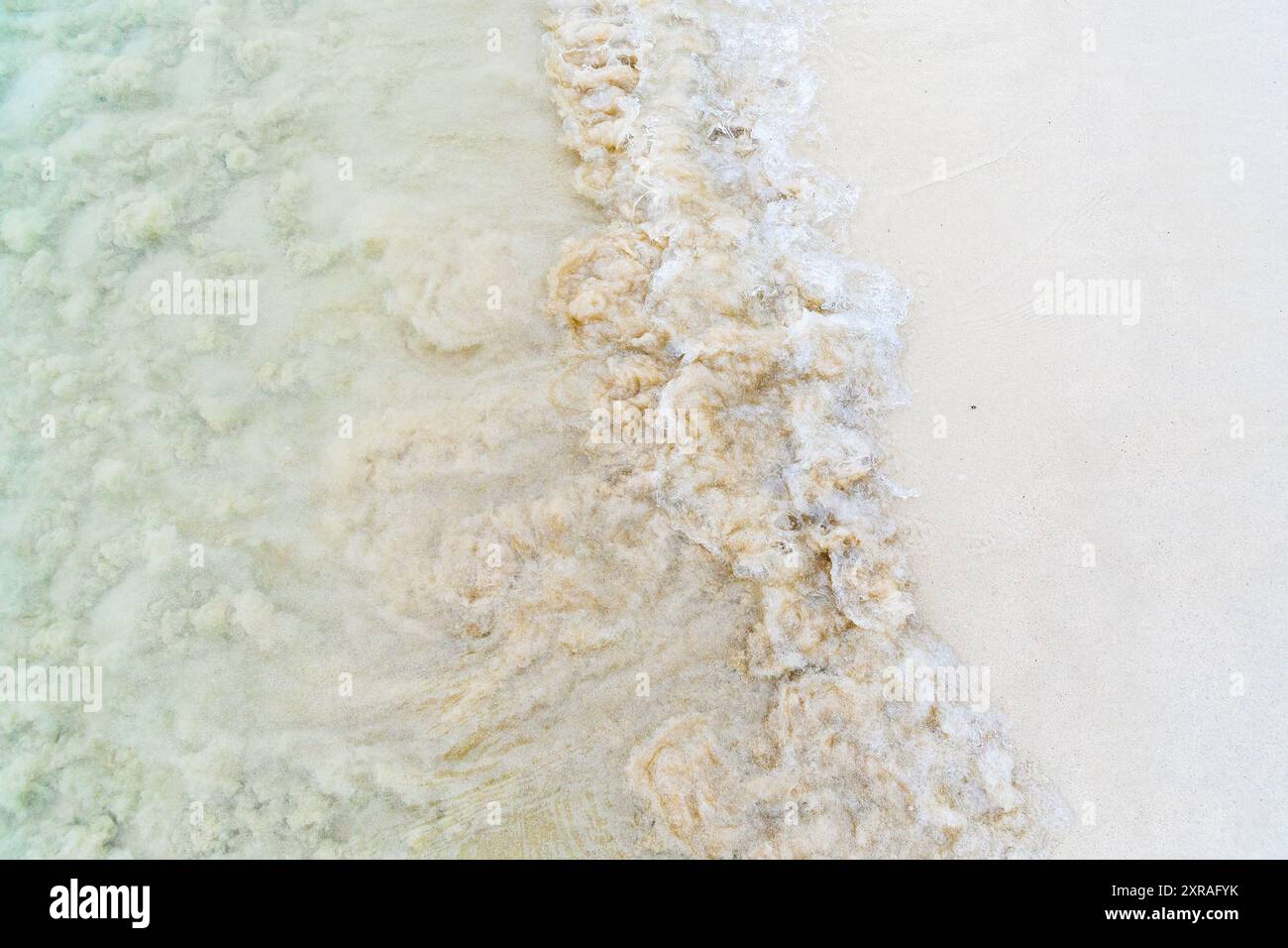 Foamy wave crashing on a pristine white sand beach. The image captures ...