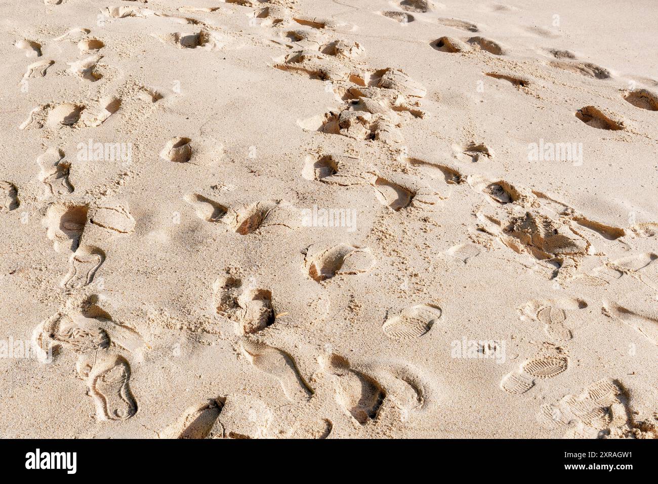 Many detailed footprints in the sand on a beach. Abstract tropical ...