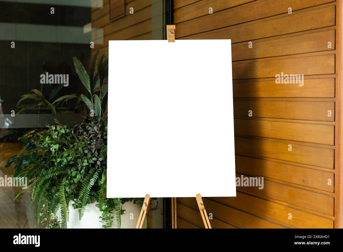 A blank white canvas sits on an artist's easel in a studio. A potted ...