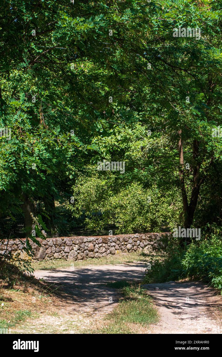 Dirty Road Covered with Shadows from Tree Branches: Natural Canopy ...