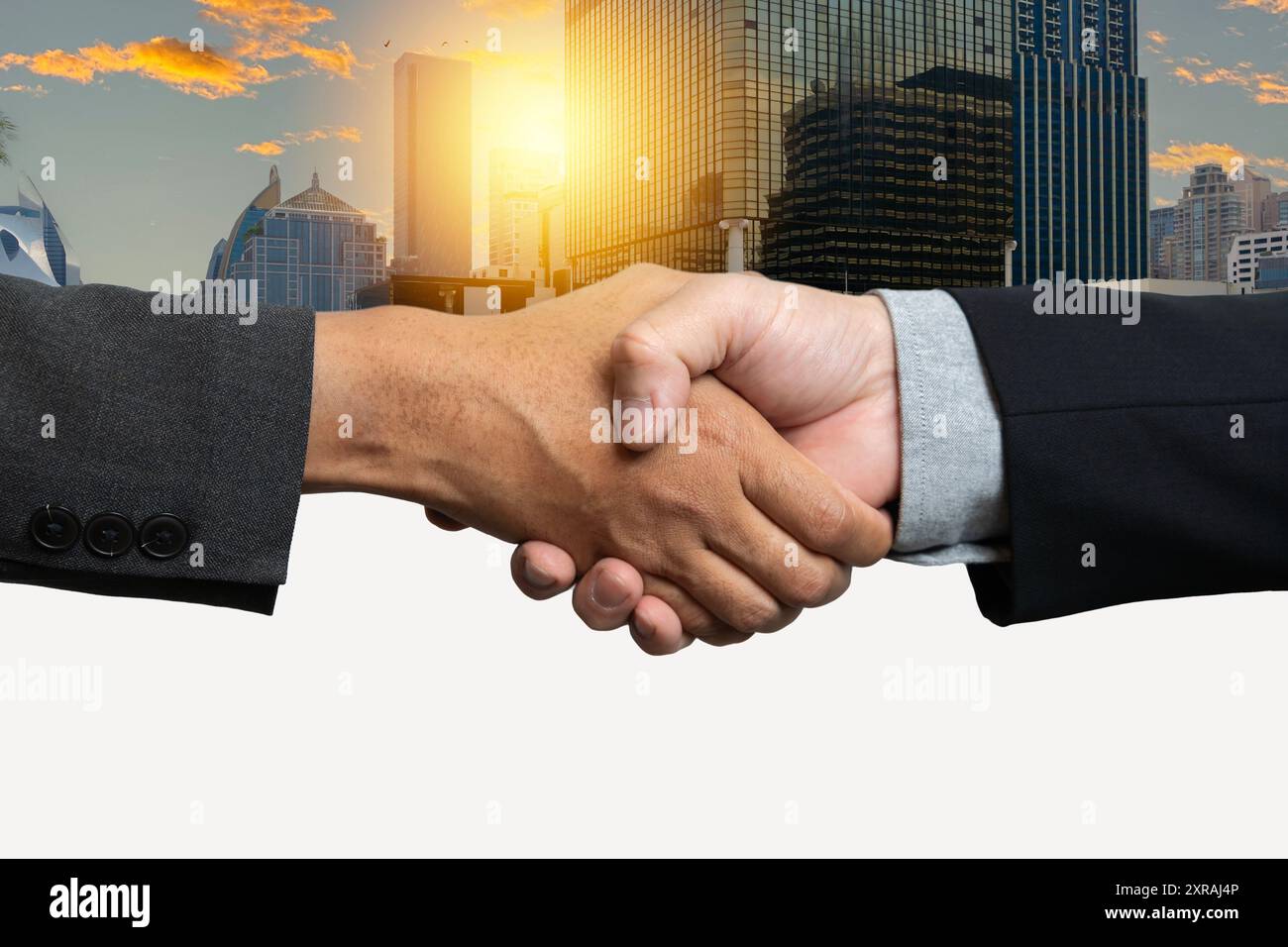 Businessmen making handshake with partner, greeting, dealing, merger ...
