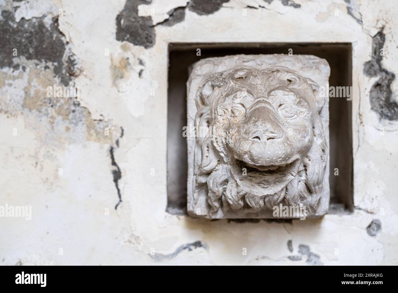 Close-up on smiley animal face carved in marble Stock Photo - Alamy