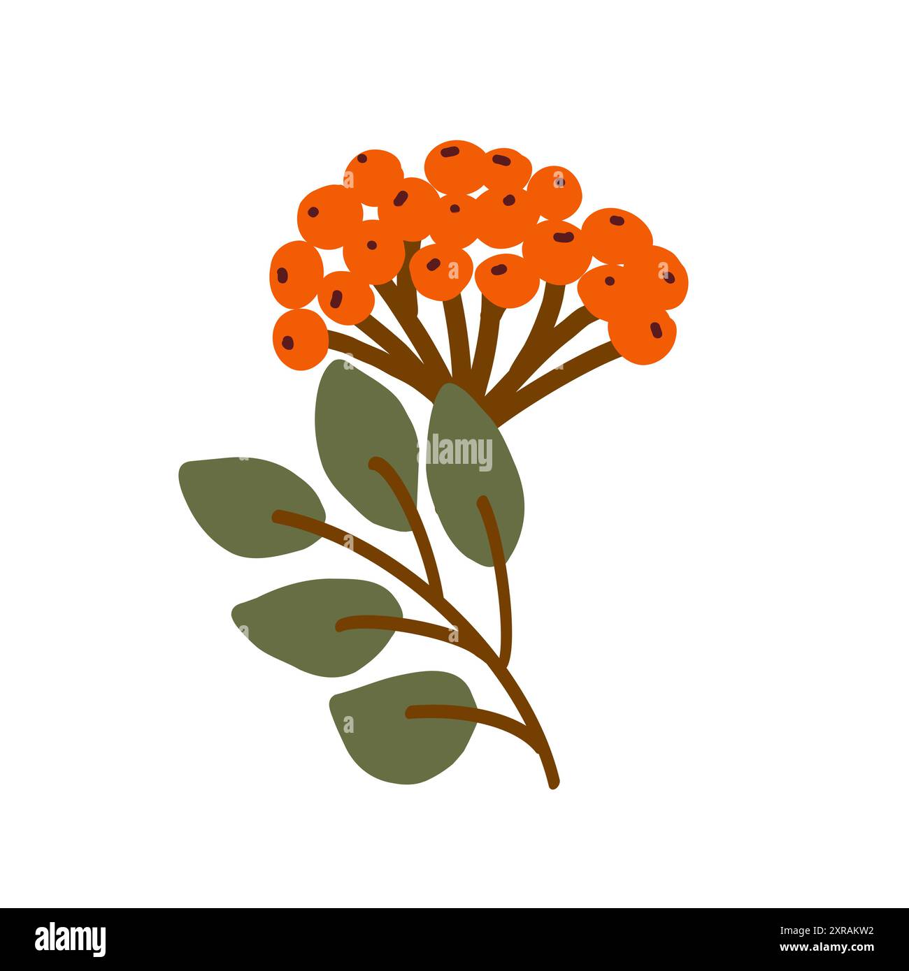 Vibrant depiction of leaves Cut Out Stock Images & Pictures - Alamy