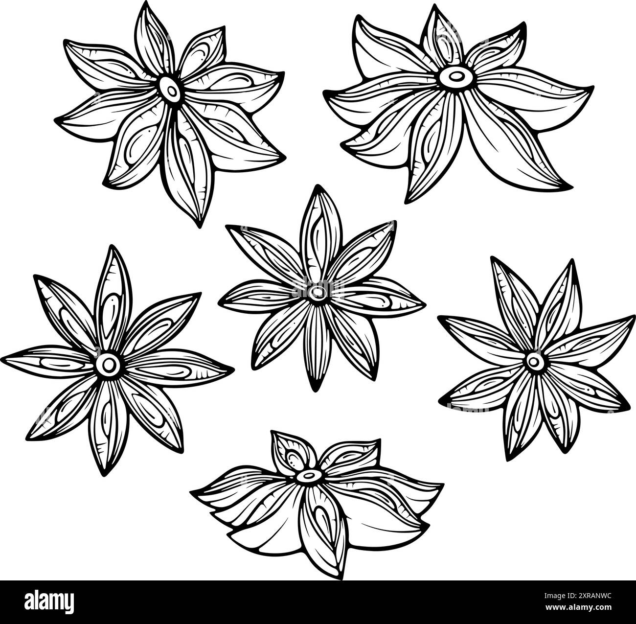 Star anise on white Black and White Stock Photos & Images - Alamy