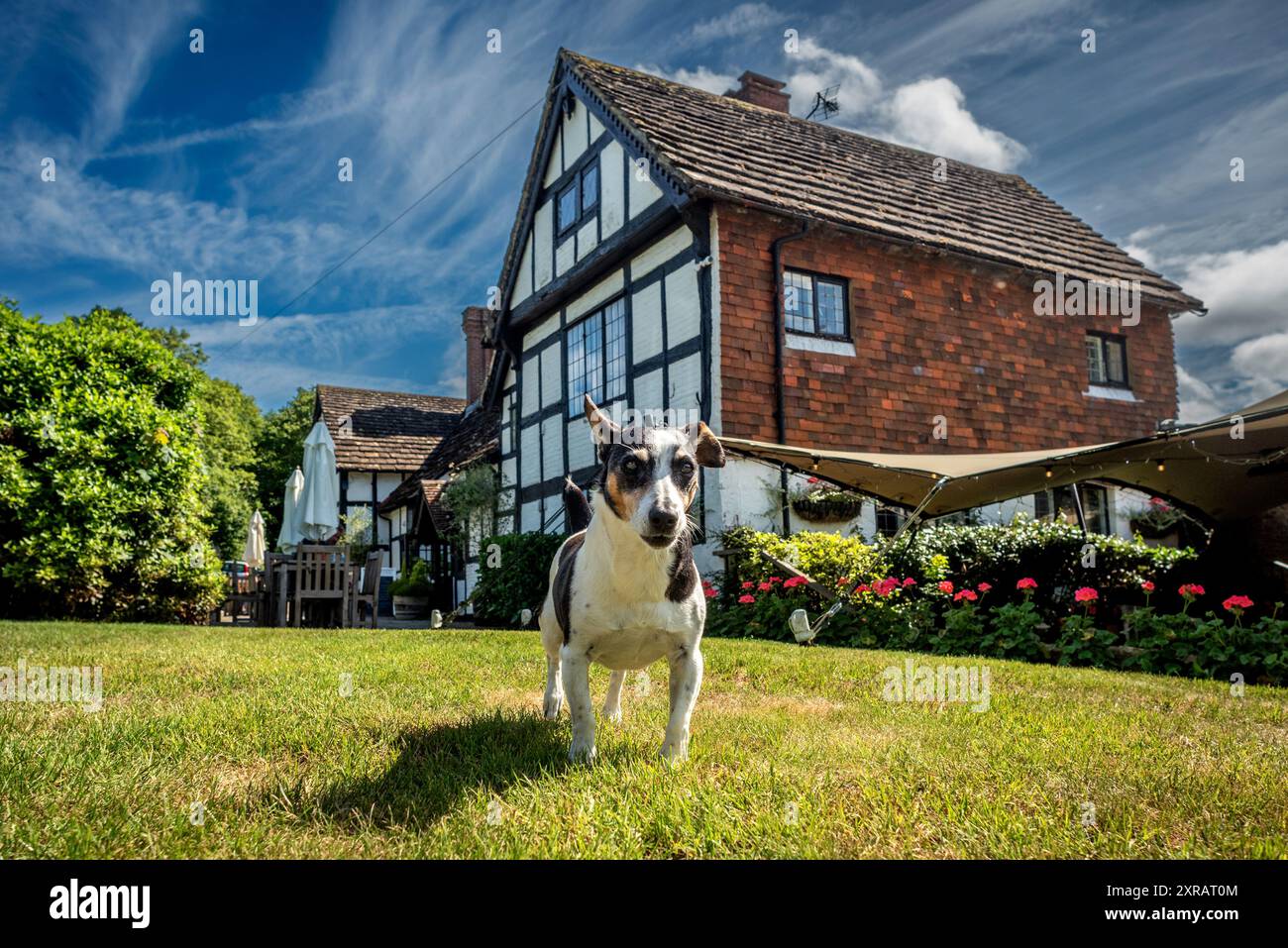 Bolney, August 9th 2024: The Bolney Stage public house Stock Photo - Alamy