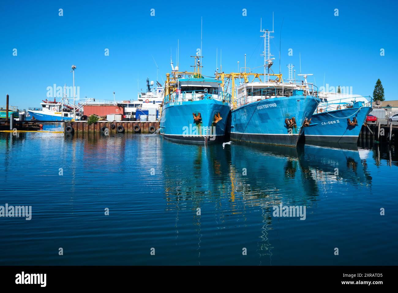 Commercial fishing boats docked in Fremantle Fishing Boat Harbour on a ...
