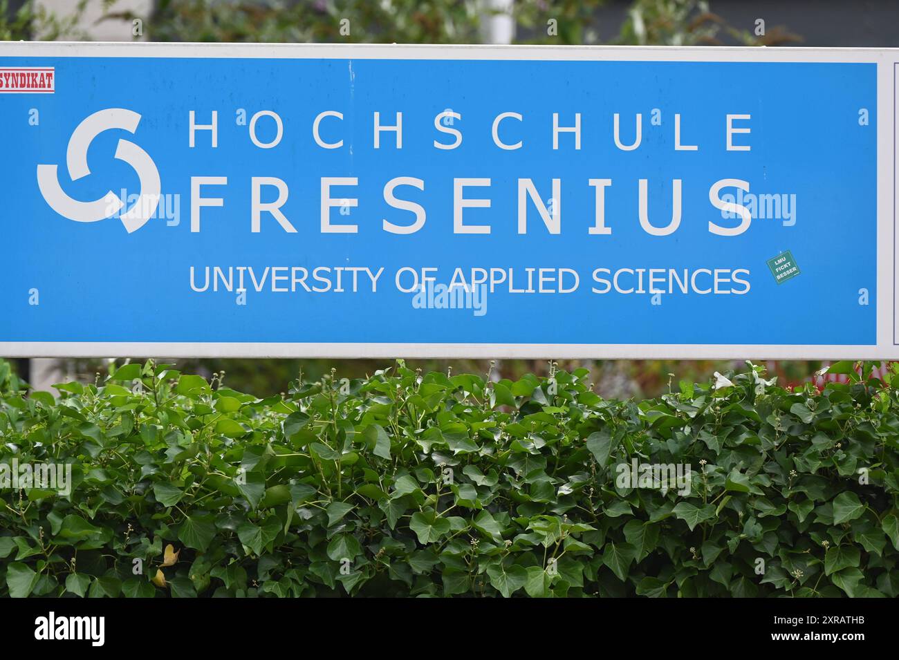 Logo, Schriftzug der privaten Hochschule Fresenius *** Logo, lettering ...