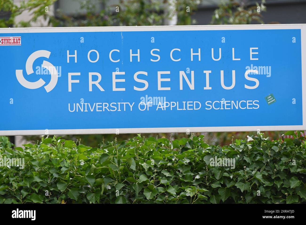 Logo, Schriftzug der privaten Hochschule Fresenius *** Logo, lettering ...